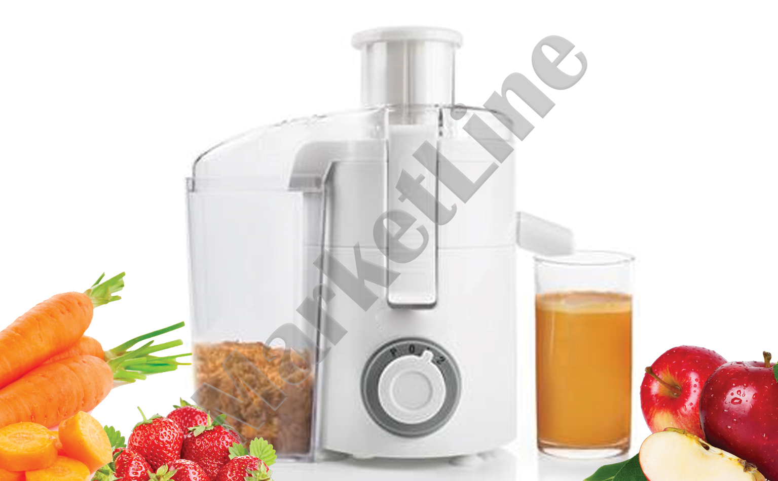 JUICE EXTRACTOR 250W - Market Line